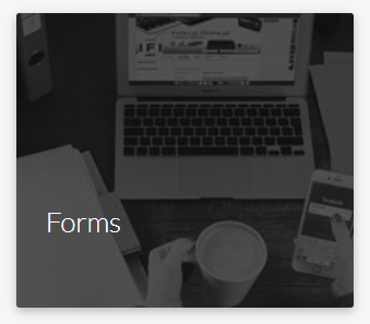 How to Create a Poll Using Talenta Forms – Mekari Talenta